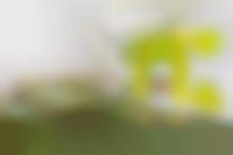 76 Creative Classroom Design Ideas