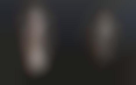 Human-Cat Hybrids : human-cat hybrids