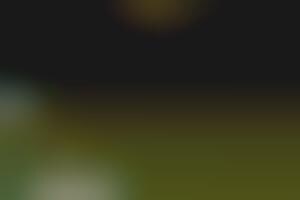 Celestial Lighting Solutions : Solar Outdoor Floor Lamp