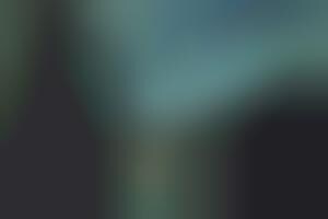 Dreaded Disaster Photography : disaster photo series