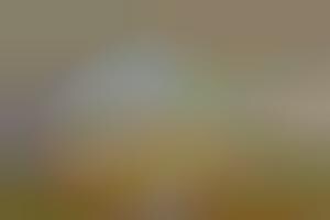 Playfully Industrial Workspaces : DSM office