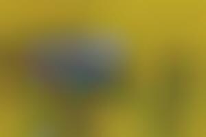 Cartoon Character Cosmetics : marge simpson x mac