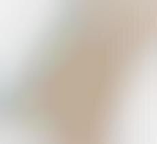 Cry-Inducing Notebooks : "personal notebook"