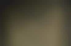 Tied Obsession Portraits : tied obsession portraits