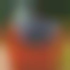 Multifunctional Summer Coolers : "high tech cooler"