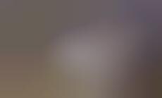 Distorted Grid Libraries : National Library of the Czech Republic