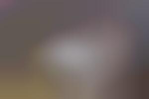 Distorted Grid Libraries : National Library of the Czech Republic