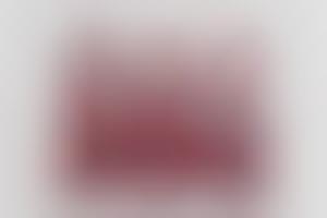 Plaid Rapper Jerseys : LES (ART)ISTS