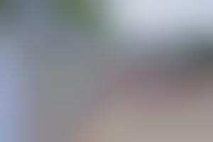 Beach Library Installations : beach library