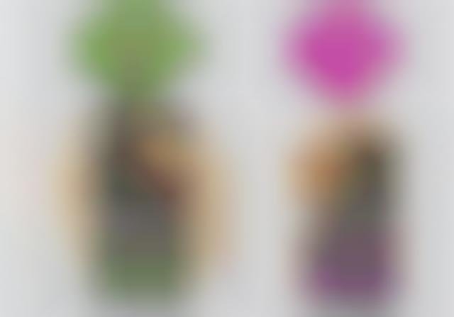 21 Branding Ideas for Bread