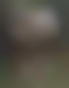 Futuristic Robot Treehouses : futuristic robot treehouse