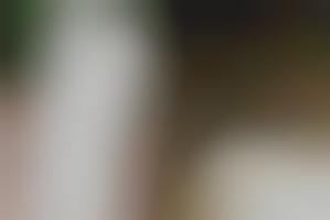 Crossover Wallet Apps : "starbucks mobile payment"