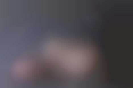 Skin-Like Chairs : A Body of Skin