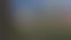 Vertical Urban Farms : city farm design