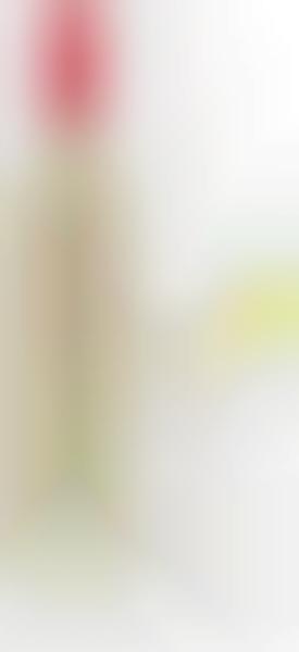 27 Examples of Pre-Mixed Alcohol