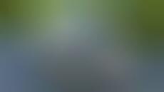 Computer-Controlled Car Prototypes : Siemens electric car