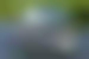 Computer-Controlled Car Prototypes : Siemens electric car