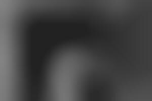 Rustic Greyscale Fashion Ads : Buffalo David Bitton Fall