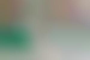 Rapid Grocery Delivery Services : Instacart