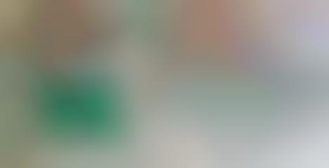 Rapid Grocery Delivery Services : Instacart