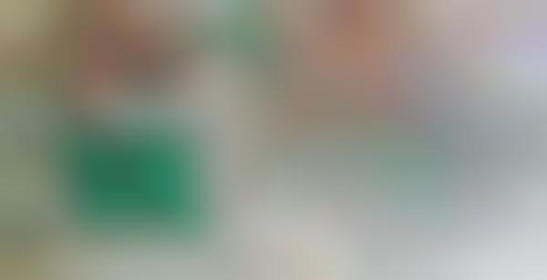 Rapid Grocery Delivery Services : Instacart