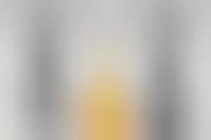 Botanical Juice Bottles : "apple juice bottle"