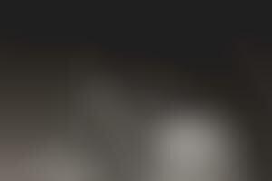 Wolf Companion Editorials : wolf companion editorial