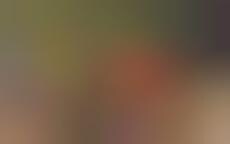 Worldly Cocktails : "commonwealth cocktail"