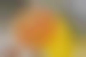 Unappreciated Artist Ads : "save the arts"