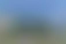 Triangulated Roof Designs : Beret House