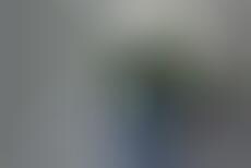 Flora-Monitoring Gadgets : Plant Link