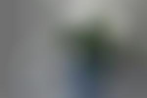 Flora-Monitoring Gadgets : Plant Link