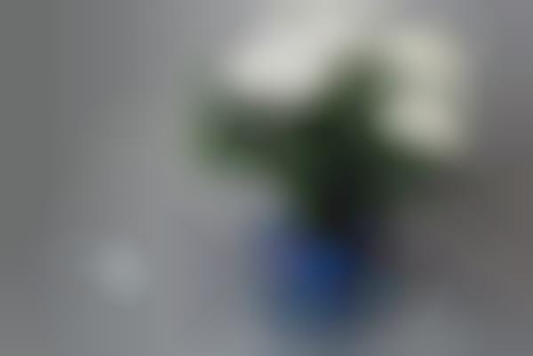 Flora-Monitoring Gadgets : Plant Link