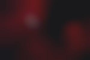 Smouldering Racy Photography : Silver screen sirens, boudoirs, lounge ...