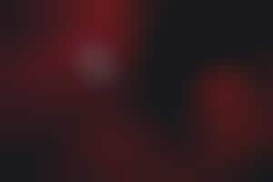 Smouldering Racy Photography : Silver screen sirens, boudoirs, lounge ...