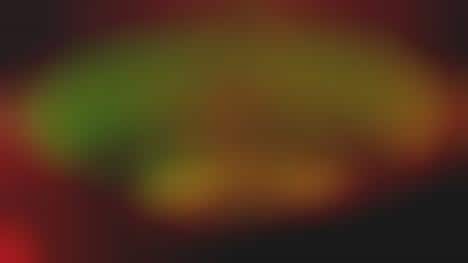 Remote-Controlled Cyborg Moths : cyborg moth