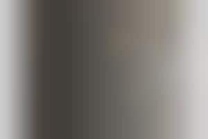 Tree Trunk Coat Racks : Yosemite Coat Rack