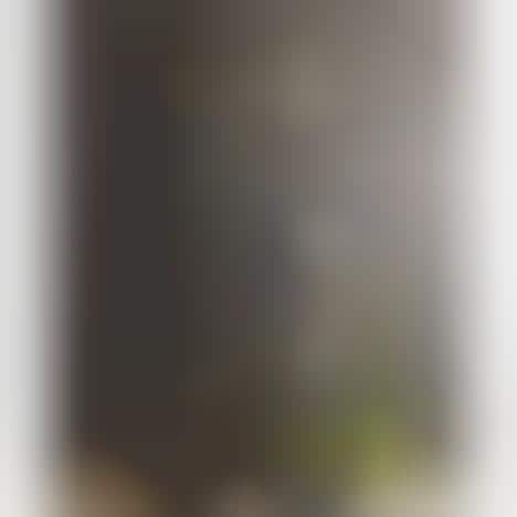 Tree Trunk Coat Racks : Yosemite Coat Rack