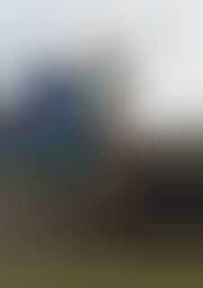 Time Machine Installations : "tardis crash landing"