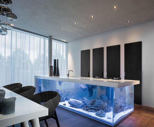 Maze-Like Fish Tanks : Labyrinth Aquarium