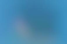 Surreally Still Compositions : Phebe Schmidt