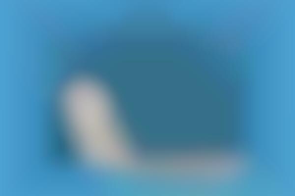 Surreally Still Compositions : Phebe Schmidt