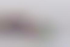 Poison-Inspired Packaging : Poxed