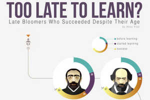 Late Learner Infographics : late bloomers