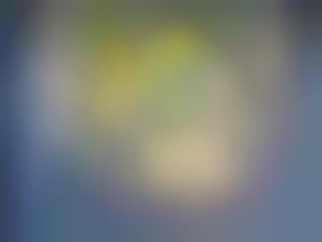 Shipping Container Tea Houses : Atelier Y A O