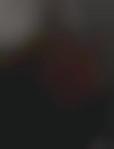 Artful Tapestry Attire : Matthieu Gregoire
