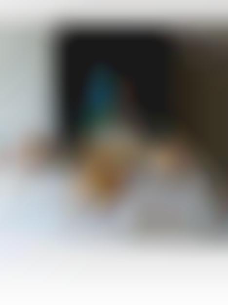 Organic Kiddie Snacks : organix