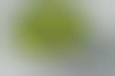 Biodegradable Lettuce Packaging : "lettuce packaging"