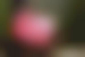 Portable Side Tables : Tote Table