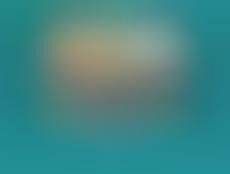 Internet Anonymity Charts : stay anonymous online